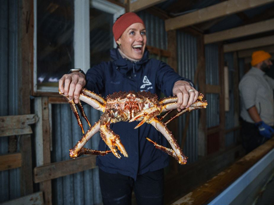 King Krab Tasting in Tromsø and Alta - Northern Shots Tours