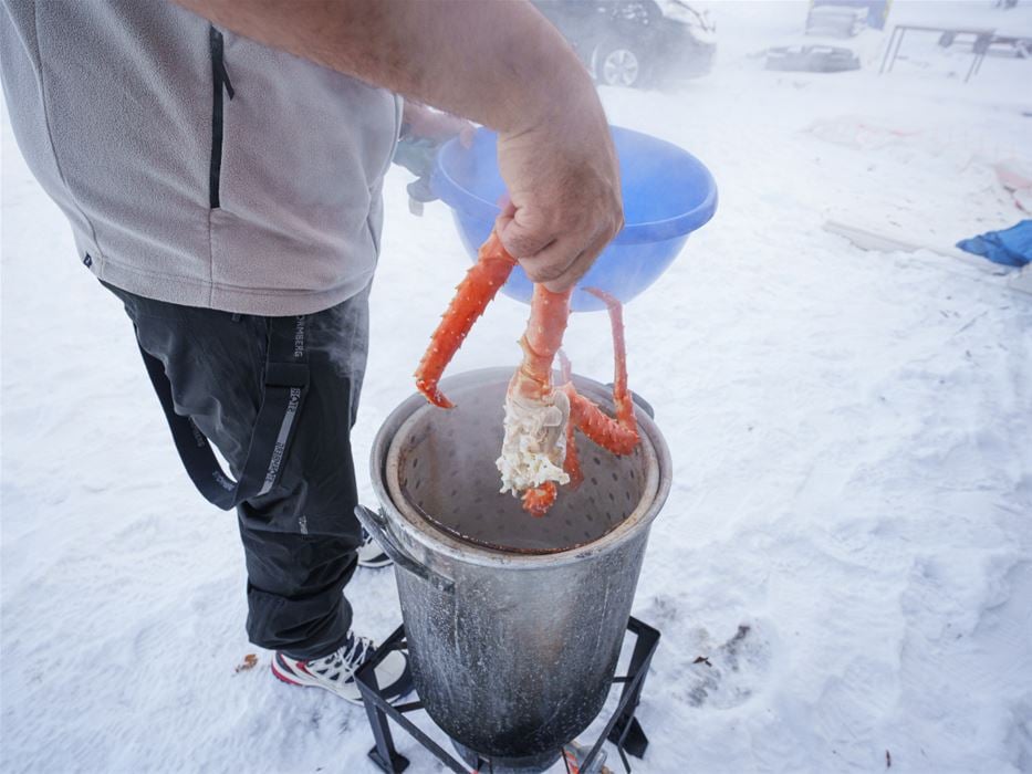 King Krab Tasting in Tromsø and Alta - Northern Shots Tours
